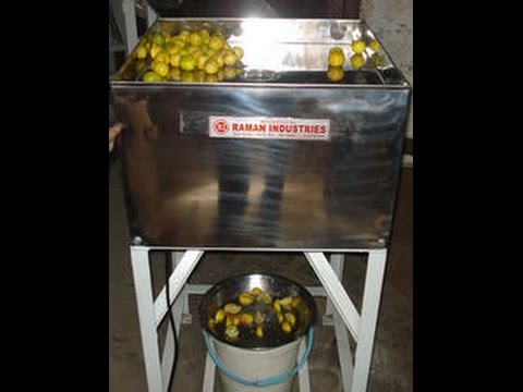 Lemon Cutter Machine - Lime Cutting Machine Latest Price, Manufacturers ...
