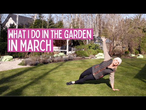๐ฟ March Garden Tasks โ What Should You Do This Month? ๐ธโ๏ธ