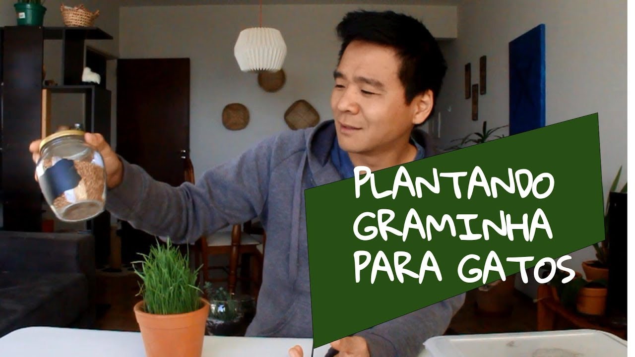 Learn how to plant cat grass.