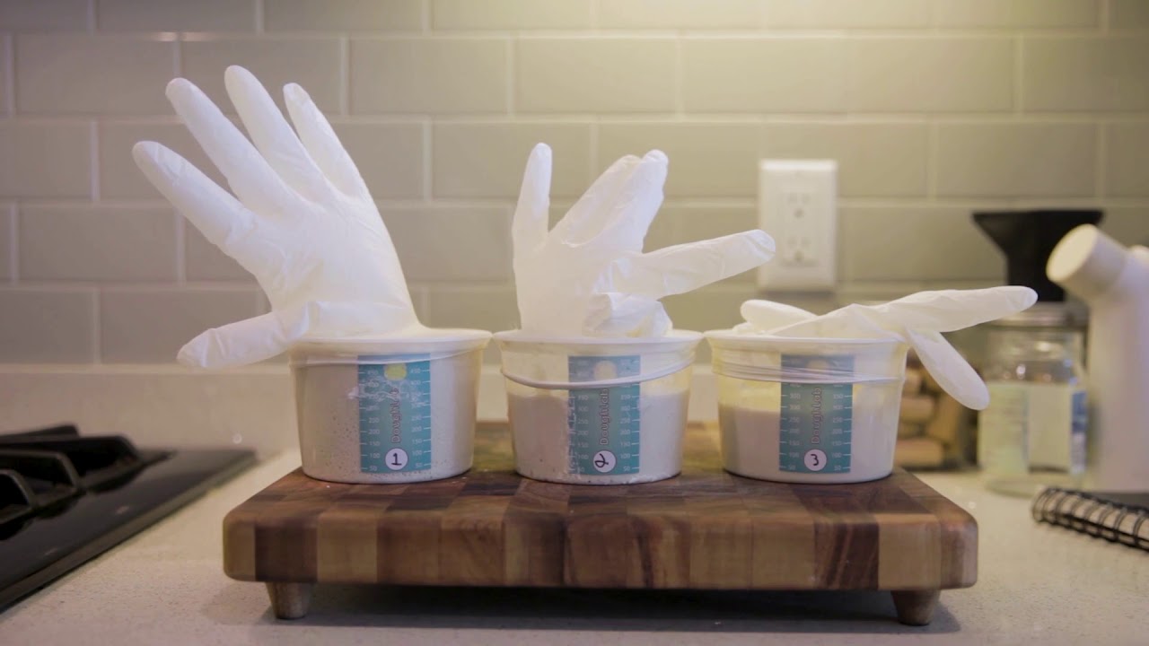 DoughLab:  Bake and Learn