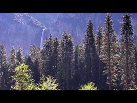 Michael Singer - Enjoy the Journey (with music)