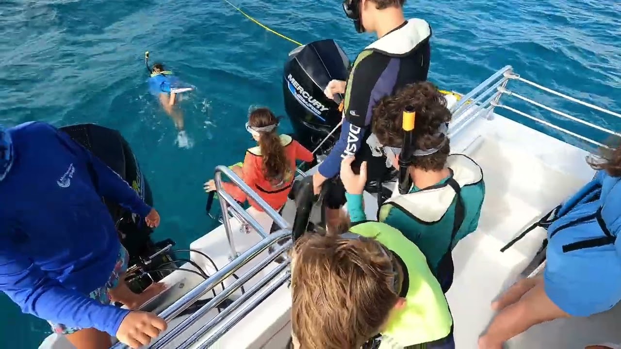 What to Expect on a MarineLab Boat Trip | Student Snorkeling Experience
