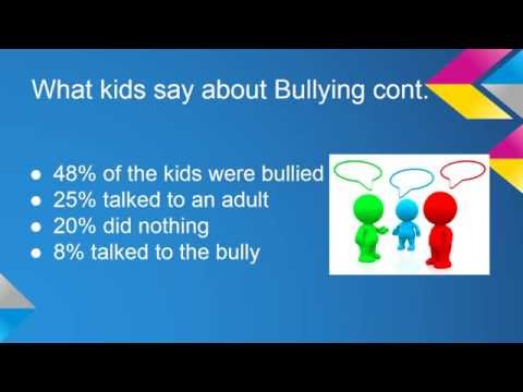 Summary of Bullying