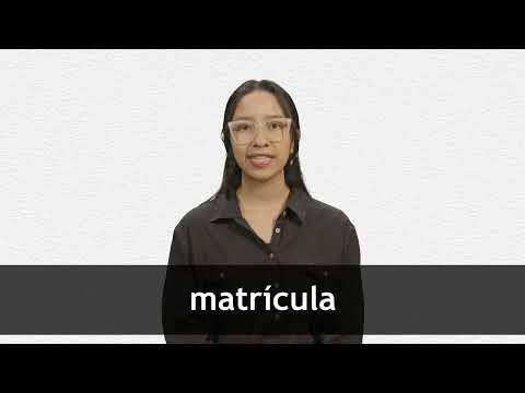 English Translation of “MATRÍCULA” | Collins Spanish-English Dictionary