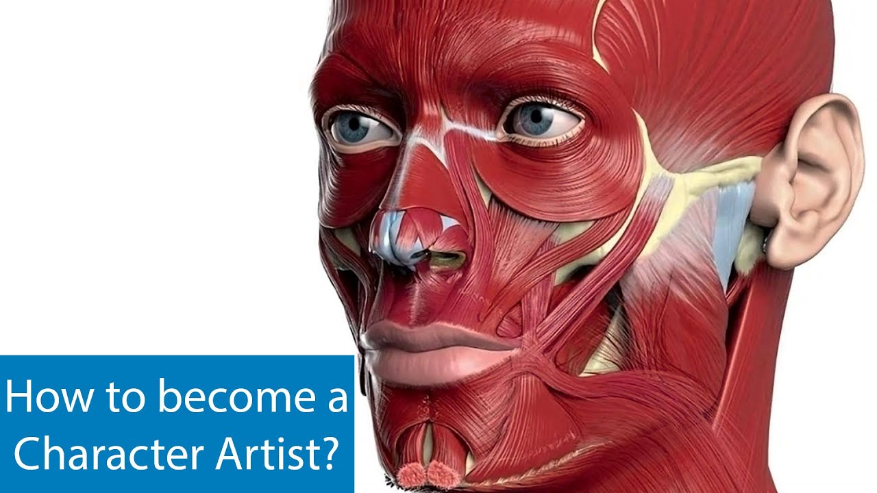 How to become a Character Artist?