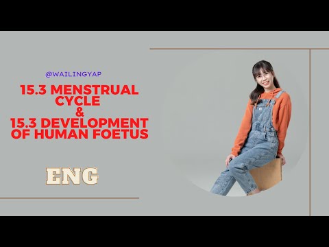 [ENG] SPM BIOLOGY F4C15 MENSTRUAL CYCLE & DEVELOPMENT OF HUMAN FEOTUS