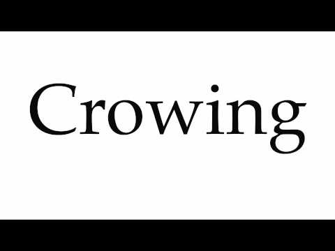 How to Pronounce Crowing