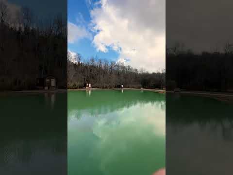 JONES FARM NASHVILLE