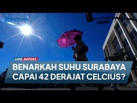 Benarkah Suhu di Surabaya Capai 42 Derajat Celsius? Ini Penjelasan BMKG Juanda
