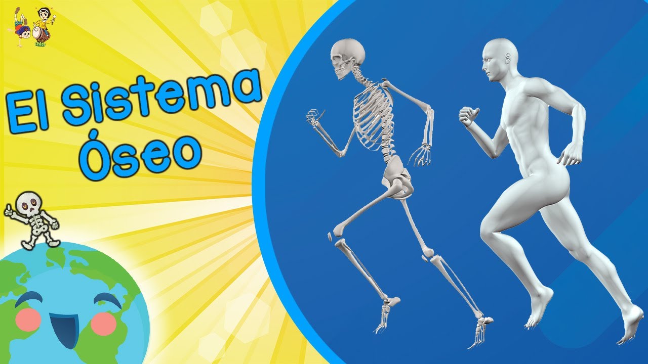 El Sistema Óseo (Videos Educativos para Niños)