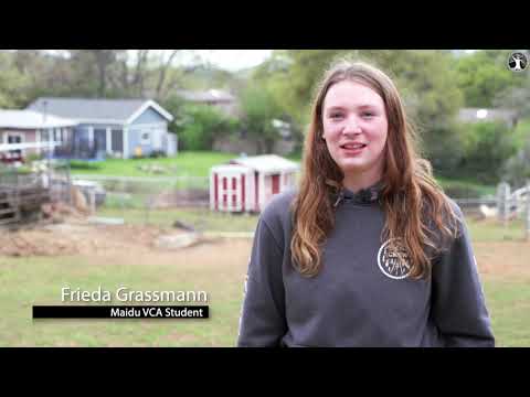 Maidu Virtual Charter Academy (About)