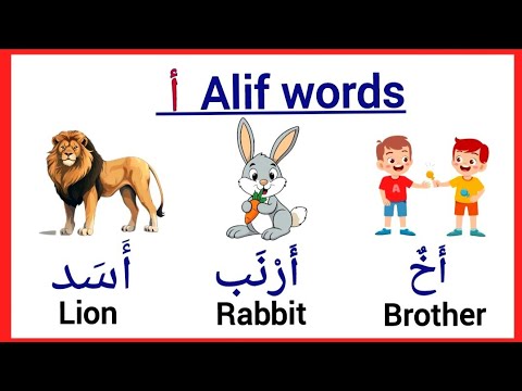 Alif words in arabic/alif words with short vowels/alif words #alifwordsinarabic #alifwords
