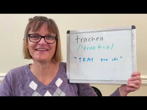 How to Pronounce Trachea