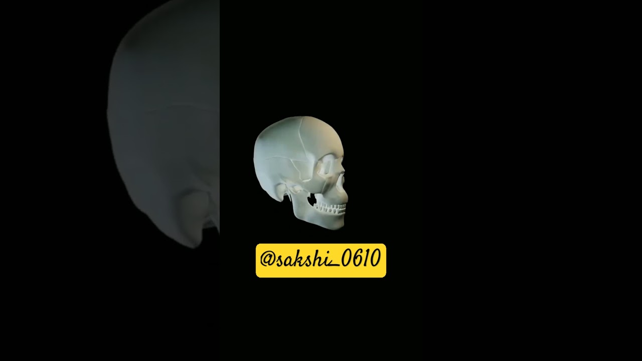 How many Facial Bones do we have?  Comment your Answers💬 #neet #learning #viralvideo #shorts