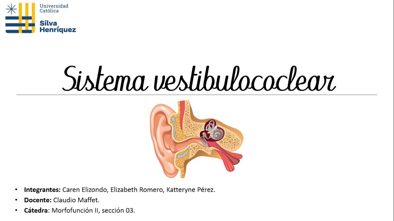 Sistema vestibulococlear