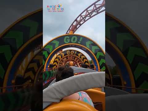 Slinky Dog Dash at Disney's Hollywood Studios