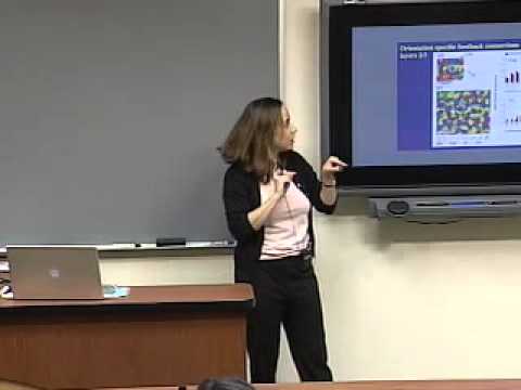 Contextual Effects in Primary Visual Cortex: Pathways and Mechanisms