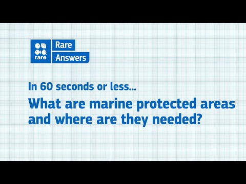 What are Marine Protected Areas and where are they needed?