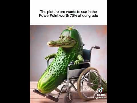 the picture bro wants to put in the powerpoint #meme