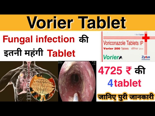 Anti Fungal Drugs - Ketoconazole Tablets ( Ketoforce 200 ) Trader ...