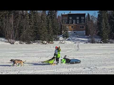The start of the 2025 Alaskan Iditarod!