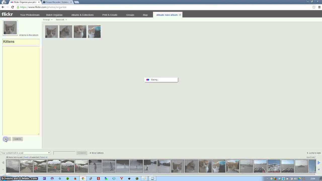 Flickr Organiser