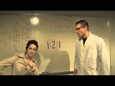 G.A.T.C. - Lethal Alleles