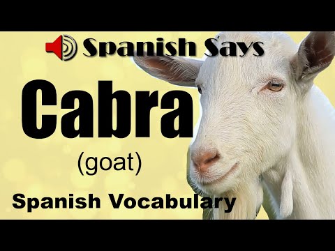 Cabra: How To Say / Pronounce Cabra - Goat In Spanish | Spanish Says