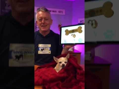 Dog Name For an Australian Shepard π #dogs #shorts
