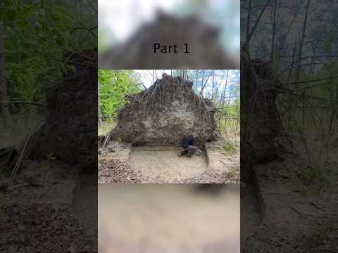 Building a Сozy Shelter Under an Oak Root. Part 1 #polissyabushcraft #survival #bushcraft #outdoors