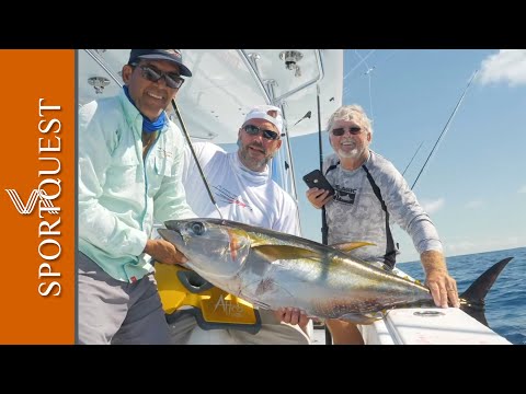 Mixed Species Fishing At Zancudo Lodge, Costa Rica
