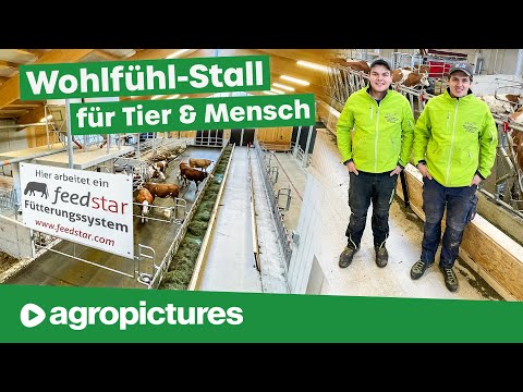 Wohlfühl Stall für Tier & Mensch mit dem Feedstar Futterband von Eder | Bio Heumilch Betrieb Mauser