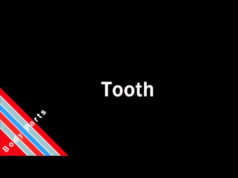 How to Pronounce Tooth