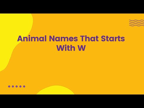 Animal Names That Starts With W