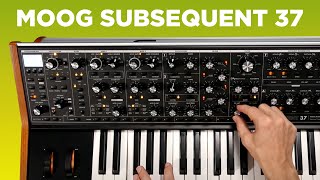 Moog Sub 37 Paraphonic Analog Synthesizer - What To Know & Where To Buy ...