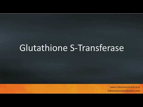 Pronunciation of the word(s) "Glutathione S-Transferase".