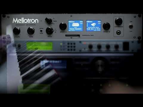 Mellotron Sound Card 02: Expansion Card 100 more Mellotron | Reverb