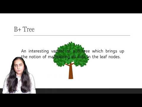 Storage Strategies -B trees and B plus trees