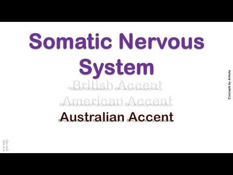 Somatic Nervous System How to Pronounce Somatic Nervous System in Australian, British Accent ?