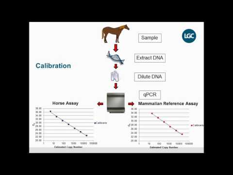 Horse KT e-seminar combined 03062016TW