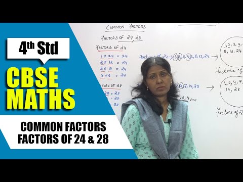 4th Std CBSE Maths Syllabus | Common Factors - Factors of 24 & 28 | CBSE Maths Part-71