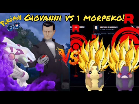 How to easily defeat Giovanni with One Morpeko! - Pokémon Go [1000CP]