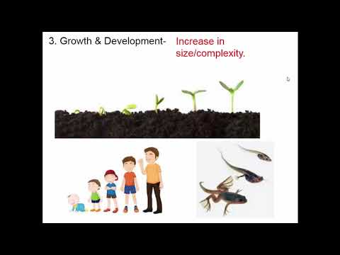 SCI7/8 - Characteristics of Life