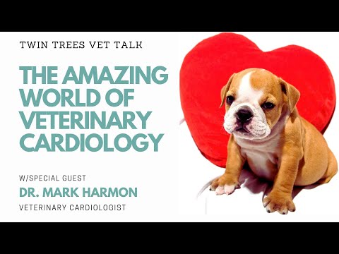 The Amazing World Of Veterinary Cardiology│Twin Trees Vet Talk (FREE VET ADVICE PODCAST)