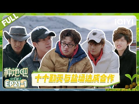 【EP21上】十个勤天与盐场达成合作 王一珩叠盒子0帧起手 | 种地吧3 FULL | Become a Farmer S3 | iQIYI慢综艺