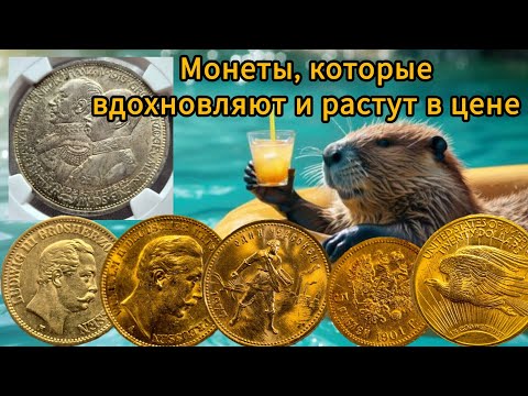 Coins for the Heart and Wallet: My Gold and Silver Finds
