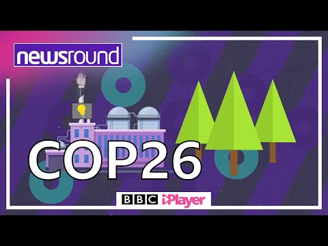 COP26 EXPLAINED🌳 🌍 | Newsround