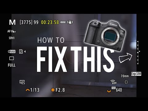 Canon R5 II: Exposure meter fix (quick tip)