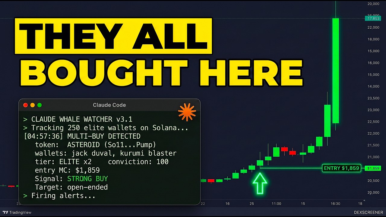 Claude Built Me a Whale Watcher in 5 Minutes (Caught 2000X!!)