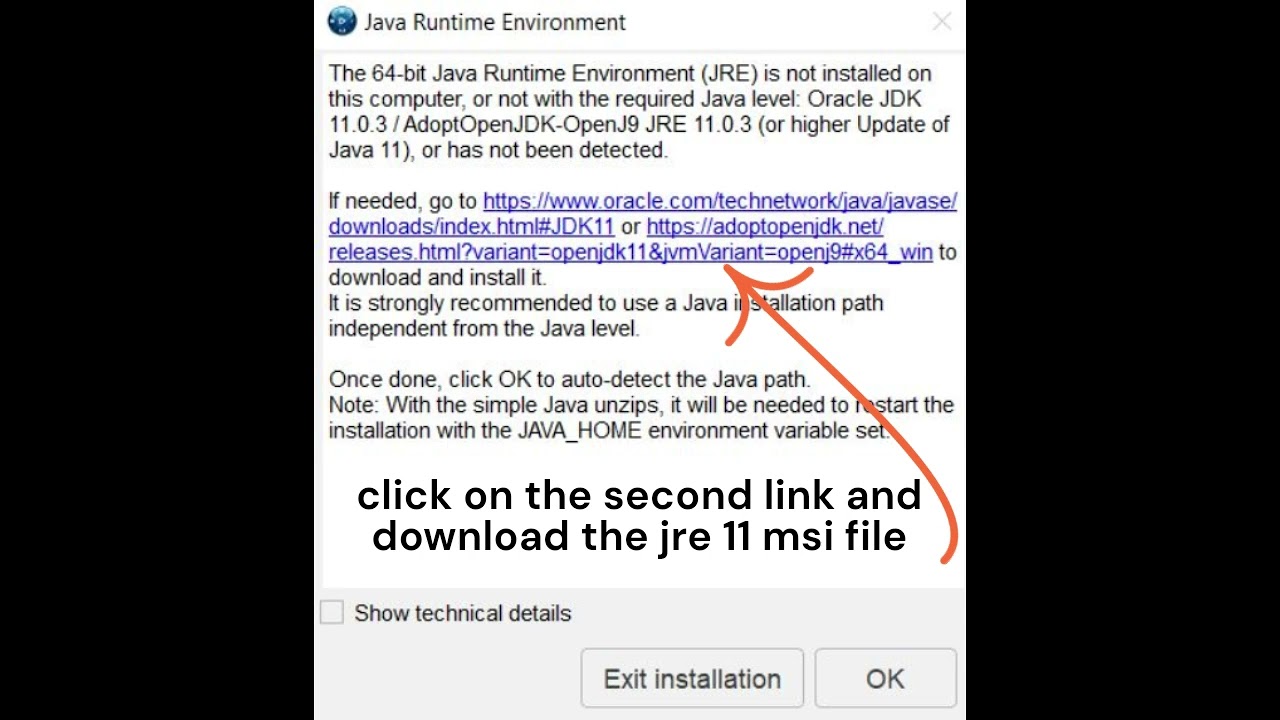JAVA runtime environment error for 3d experience cloud apps